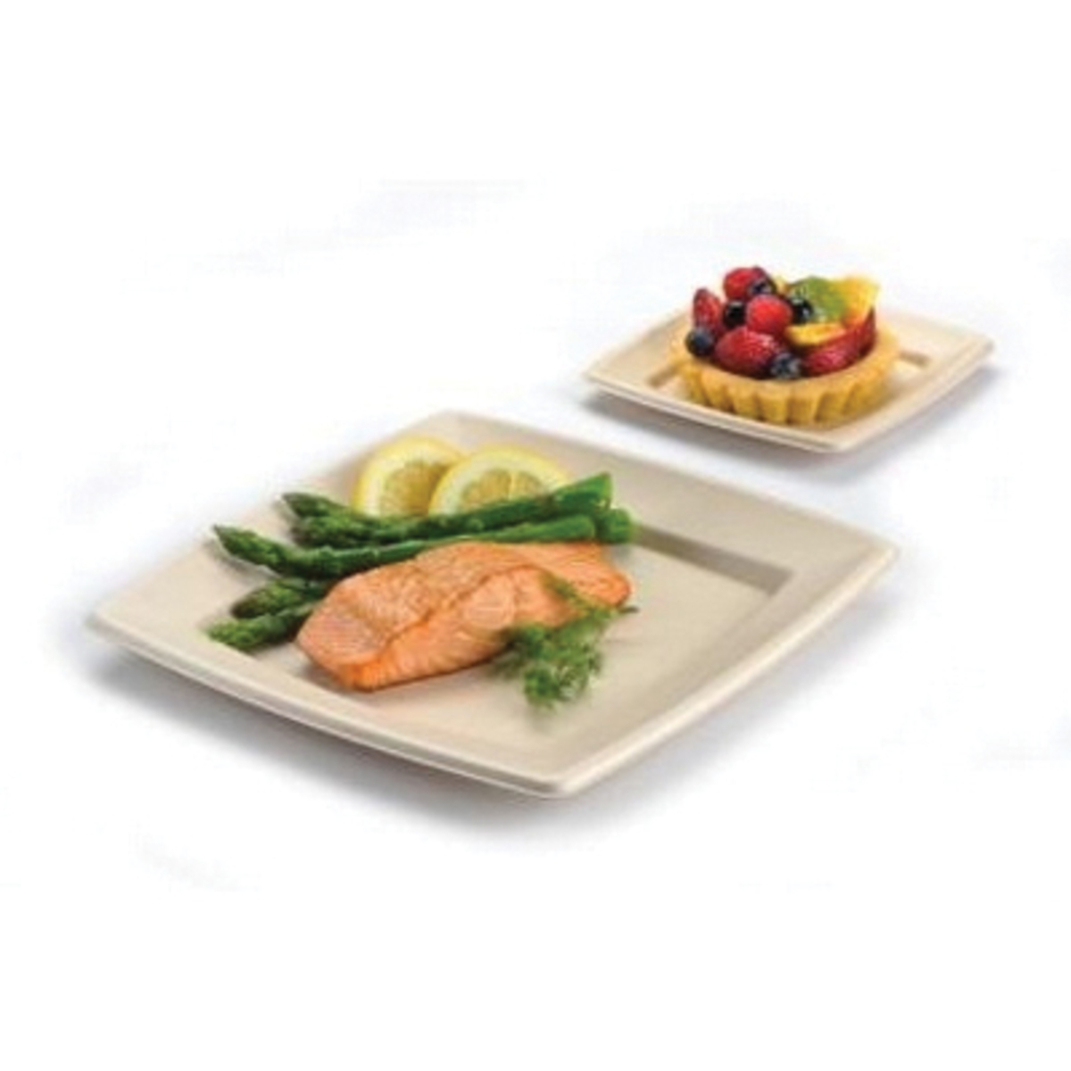 SAB49210F300N | Sabert Plate, 10 in x 10 in x .9 in, Square, PFA Free ...
